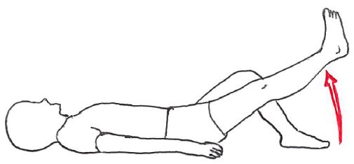 SLR（下肢伸展拳上）運動のメリット・デメリット－リハビリ